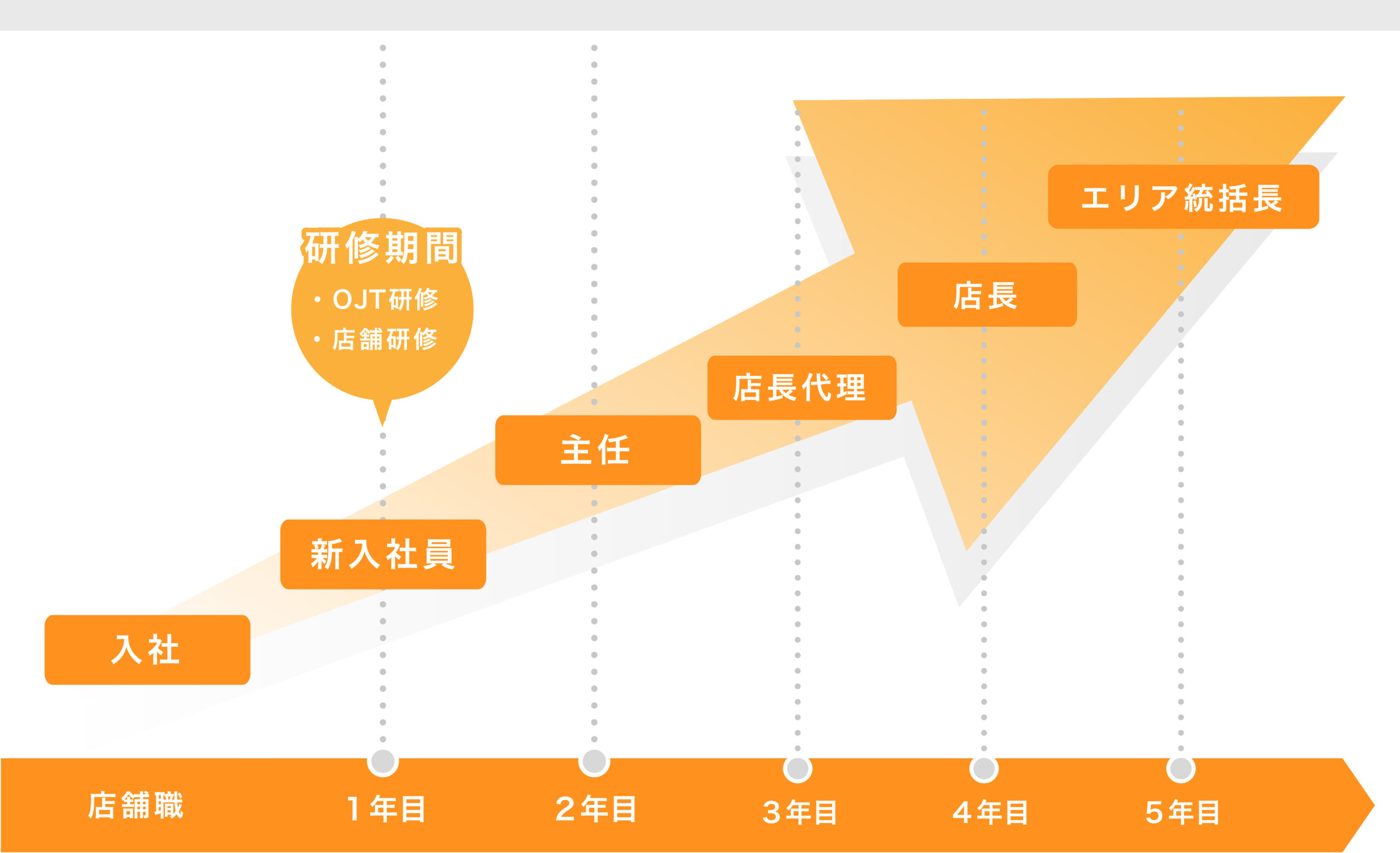 店舗部仕事紹介 - 株式会社KOKADO 2025年度新卒採用サイト